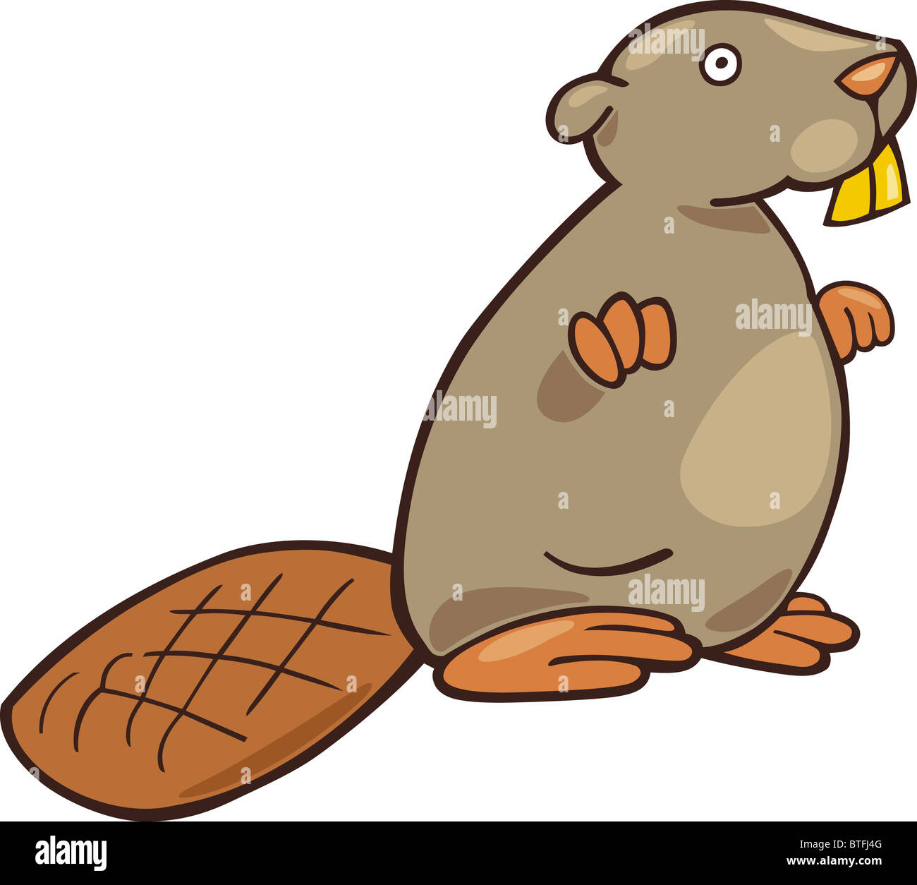 Cartoon illustration of funny beaver Stock Photo - Alamy