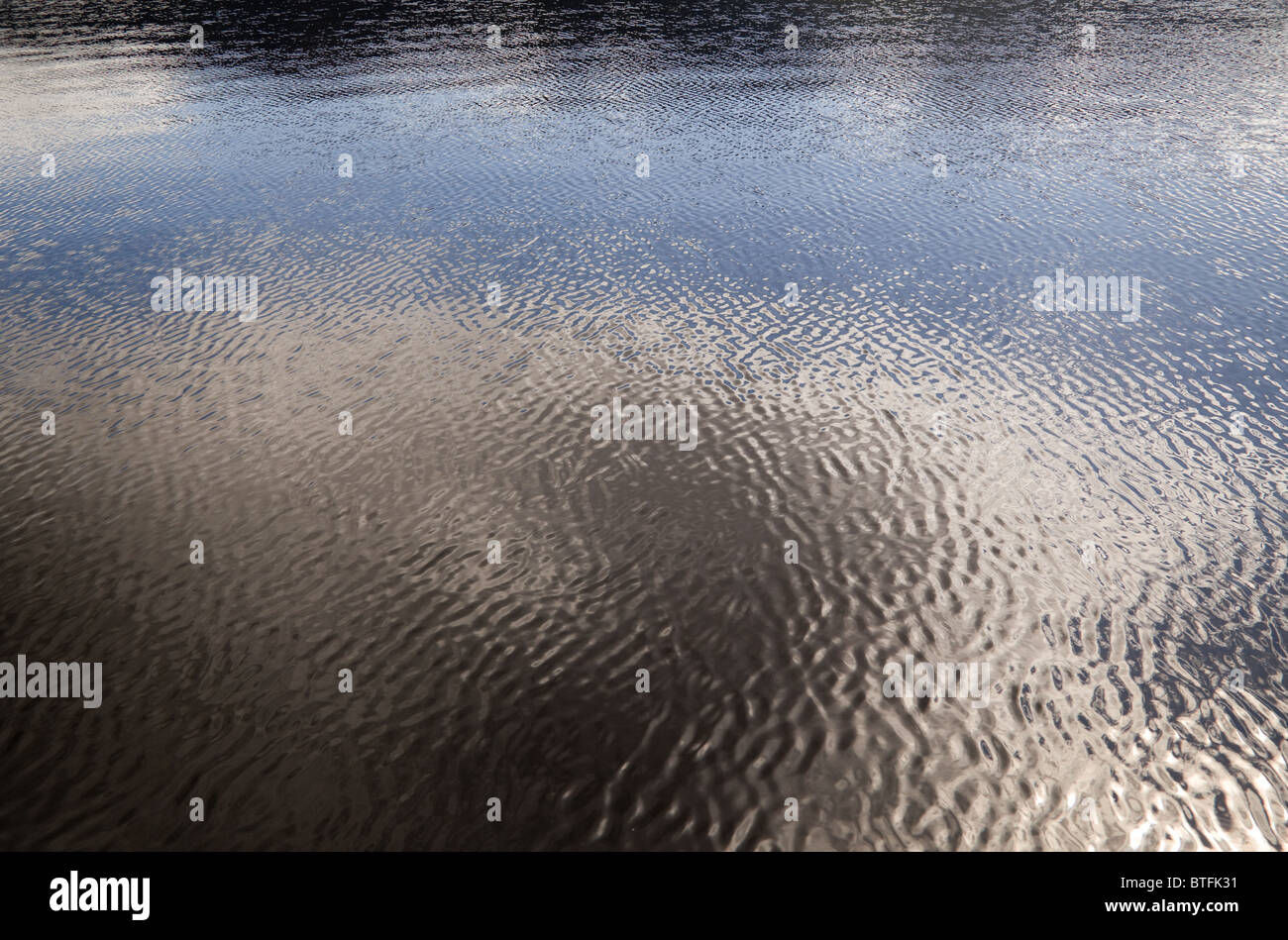 ripples on lake water caused by wind Stock Photo - Alamy