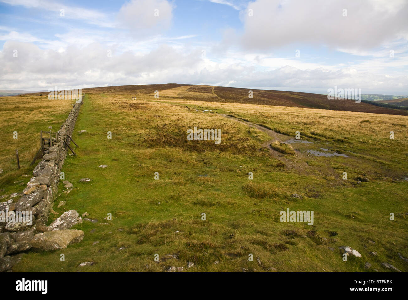 Hameldon Ridge, Dartmoor, Devon, Britain Stock Photo - Alamy