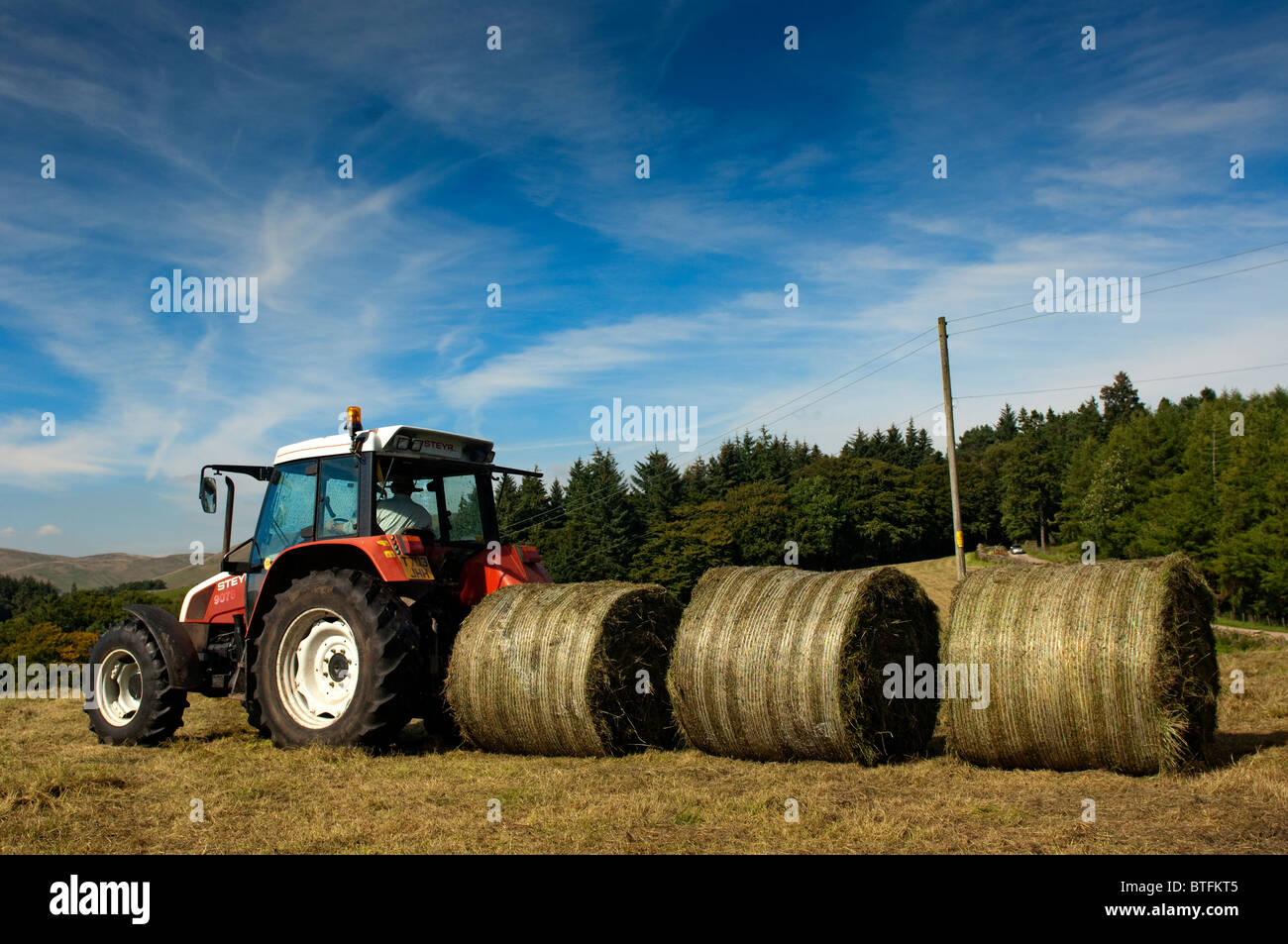 Bales of silage hay hi-res stock photography and images - Alamy
