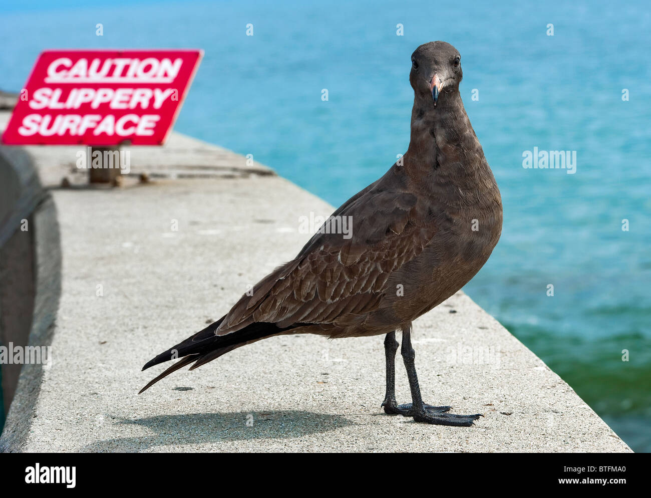 Sign? What sign Stock Photo - Alamy