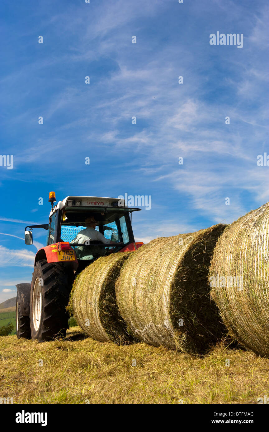 Farmer making a line of round silage bales in preperation for them ...