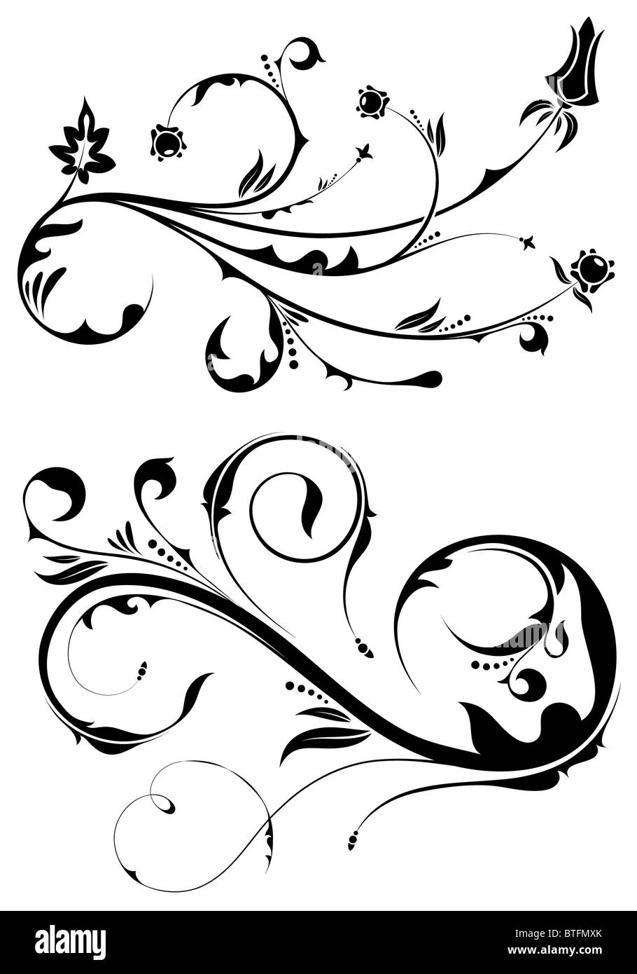 Floral scroll, element for design, vector illustration Stock Photo - Alamy