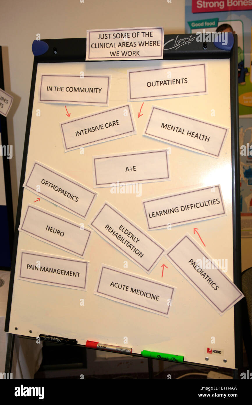 Clinical diagram showing the areas that physiotherapy staff in a ...