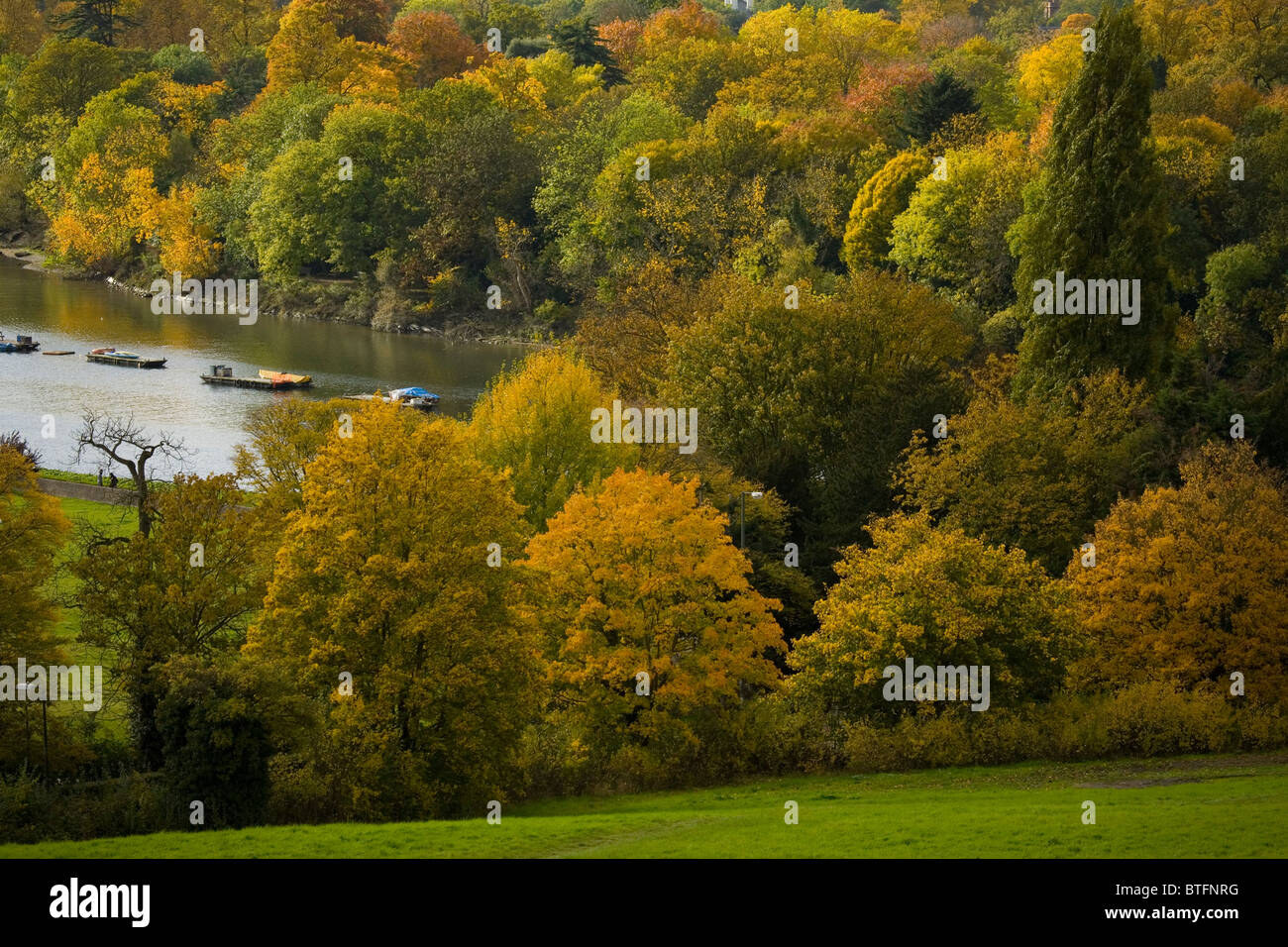 Autumn trees from Richmond Hill and boats on the Thames London England ...