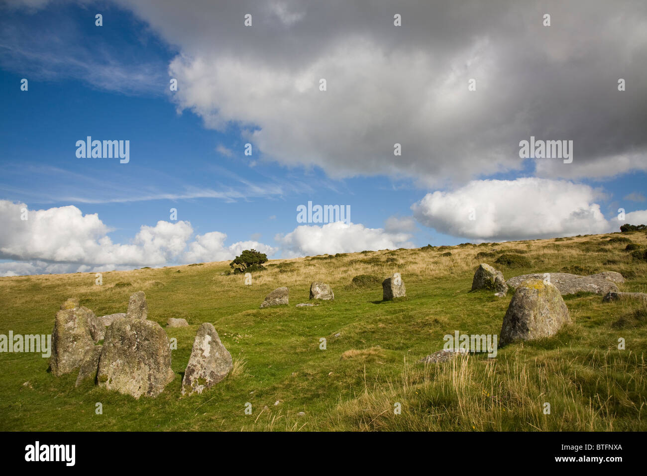 Devon nine stones circle hi-res stock photography and images - Alamy