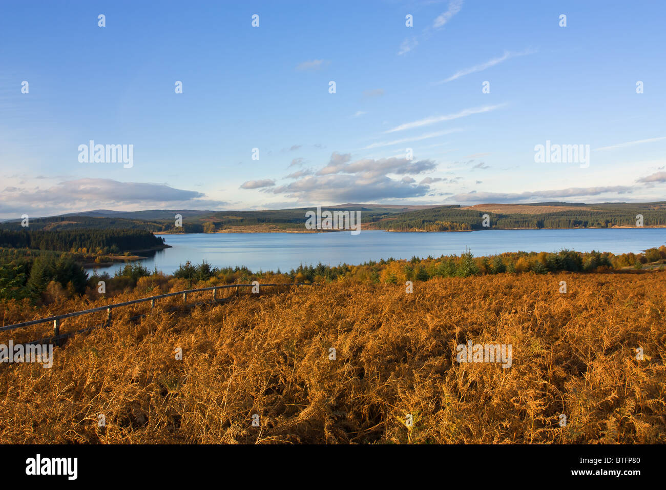 Beautiful afternoon in autumnal hi-res stock photography and images - Alamy