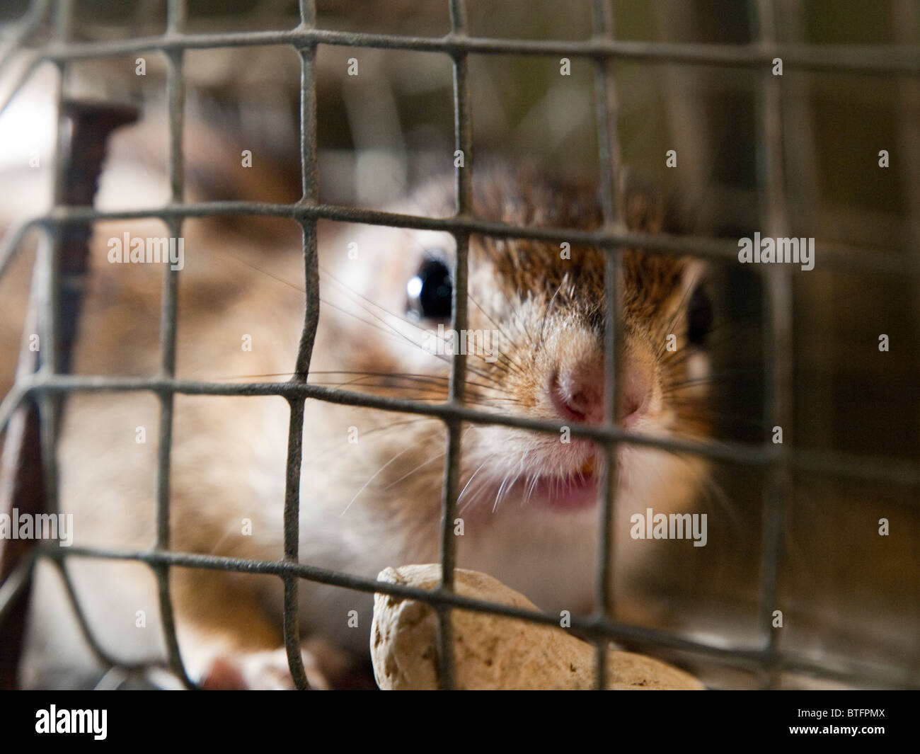 Children farm animals day out hi-res stock photography and images - Alamy