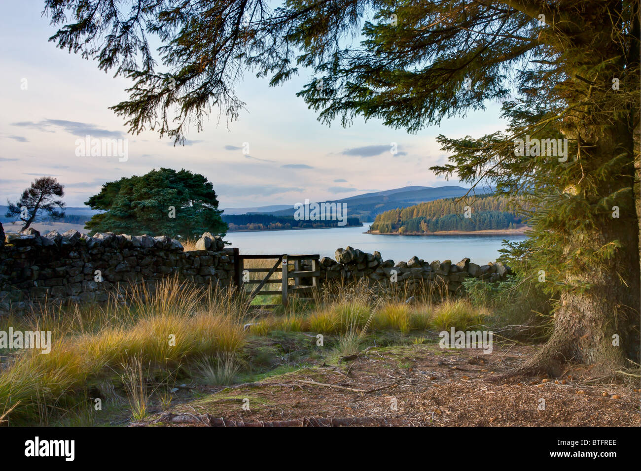 Kielder Water in late afternoon Autumn sunshine, North Tyne Valley ...