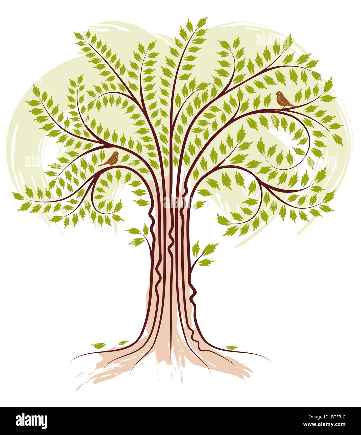 Stylized Tree with leafs and bird, for design Stock Photo - Alamy