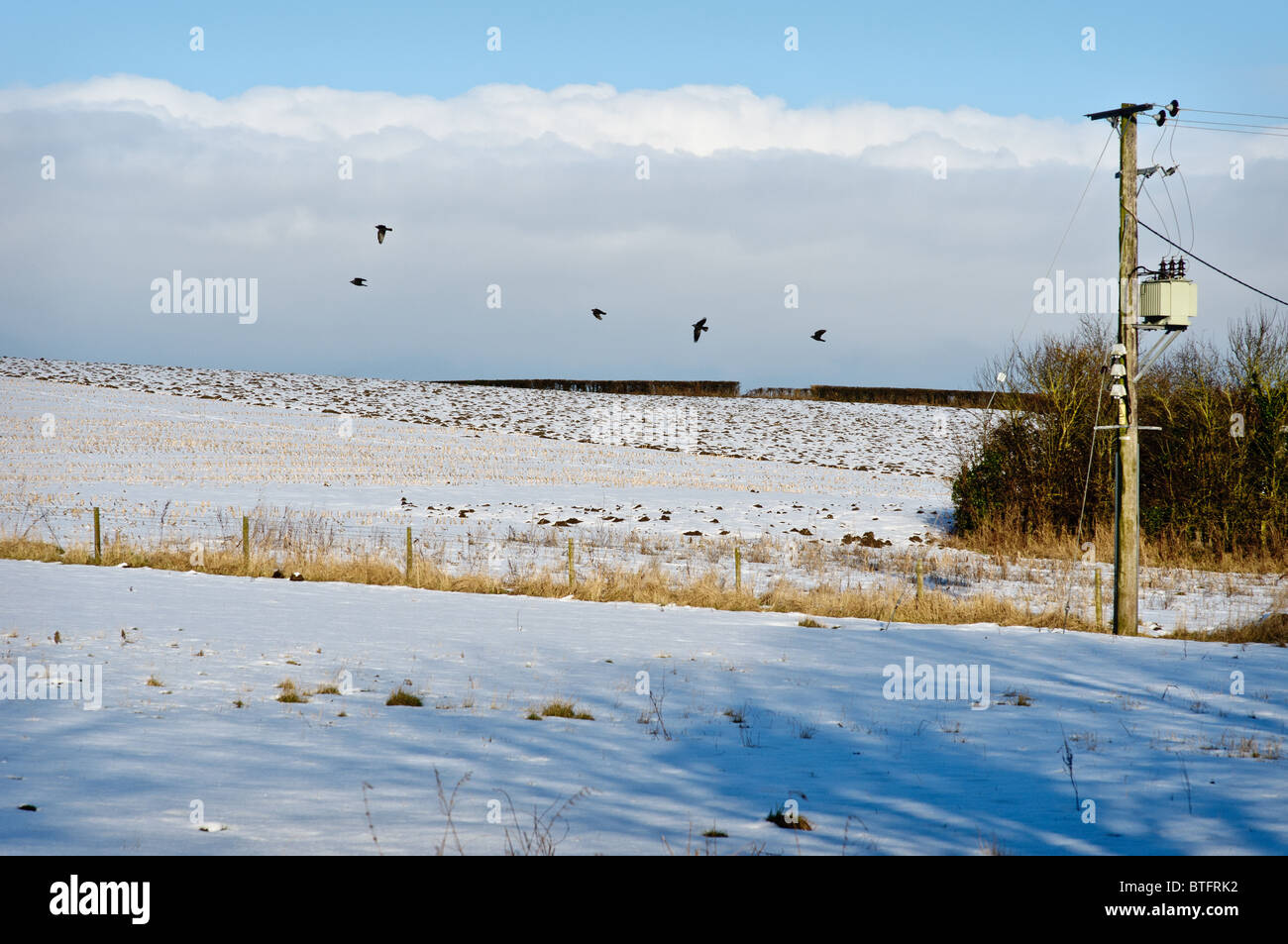 Snowy fields on the chalk downs near Salisbury Stock Photo - Alamy