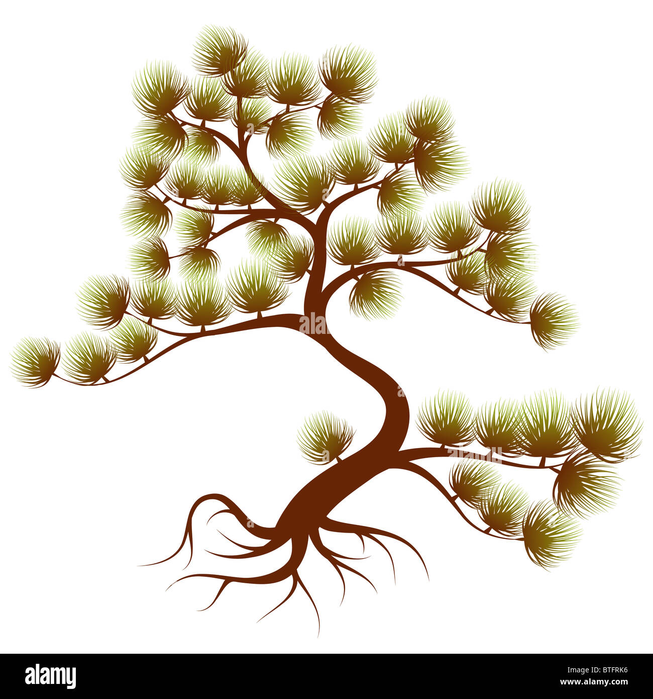 Stylized Tree cedar with needle, for design Stock Photo - Alamy