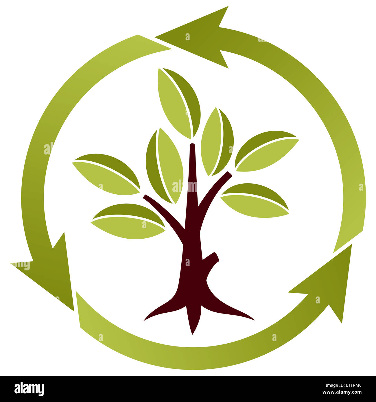 Stylized Tree with leaves and recycling symbol isolated on white ...