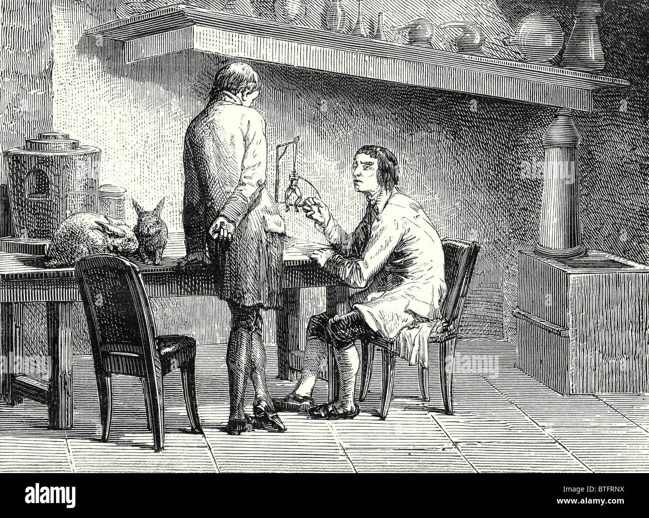 Humboldt and Hallé repeating the experiments of Galvani and Volta Stock ...