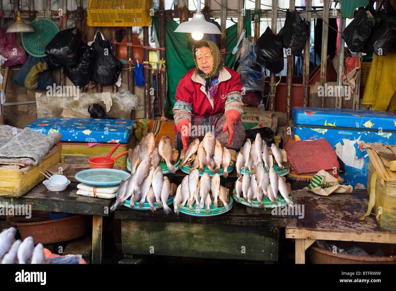 Jagalchi Fish Market Busan South Korea Stock Photo - Alamy