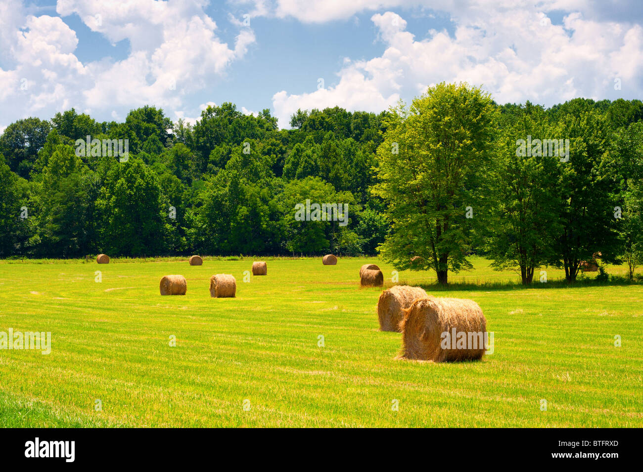 Indiana agriculture hi-res stock photography and images - Alamy