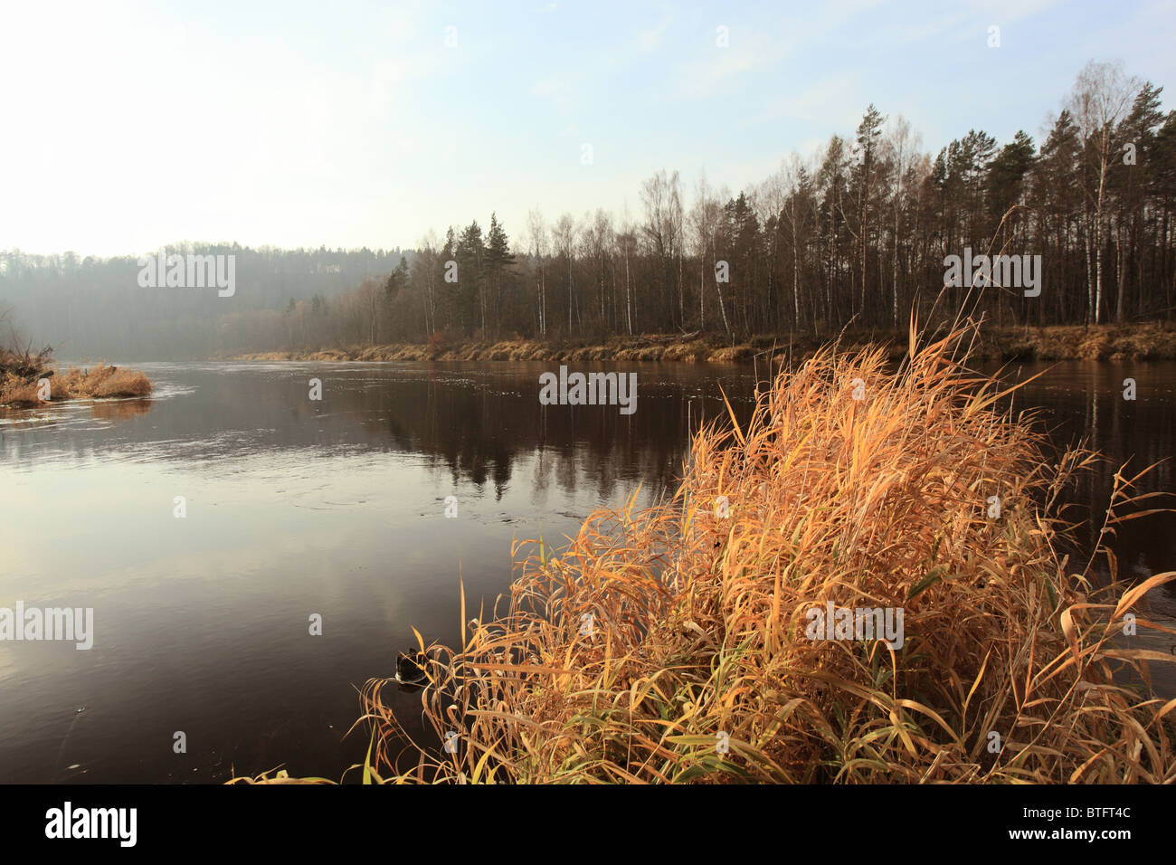 National park gauja in latvia hi-res stock photography and images - Alamy
