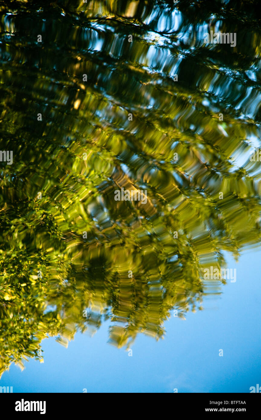Reflection water hi-res stock photography and images - Alamy