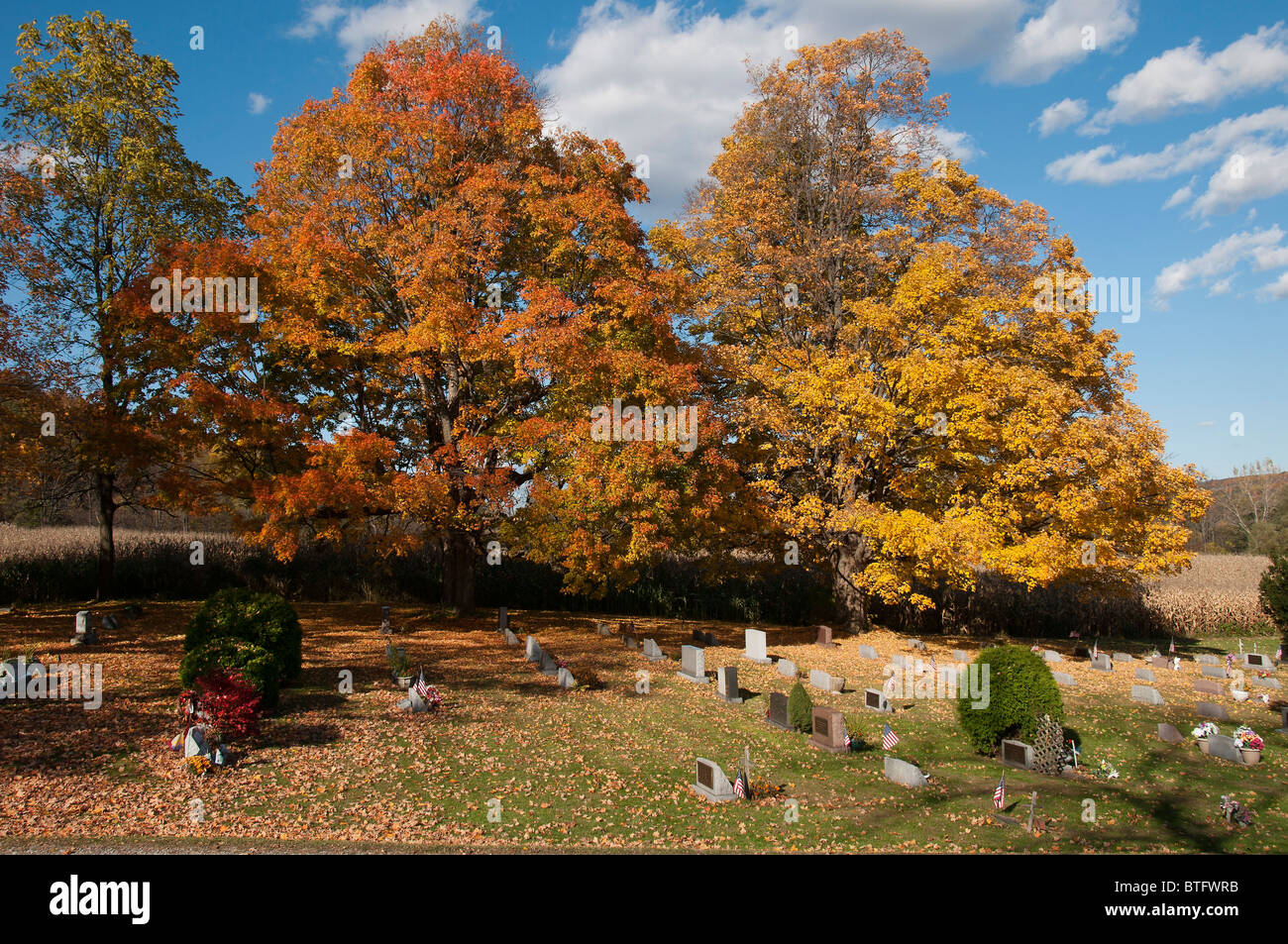 Cemetery in the town of Conesus, NY USA Stock Photo - Alamy