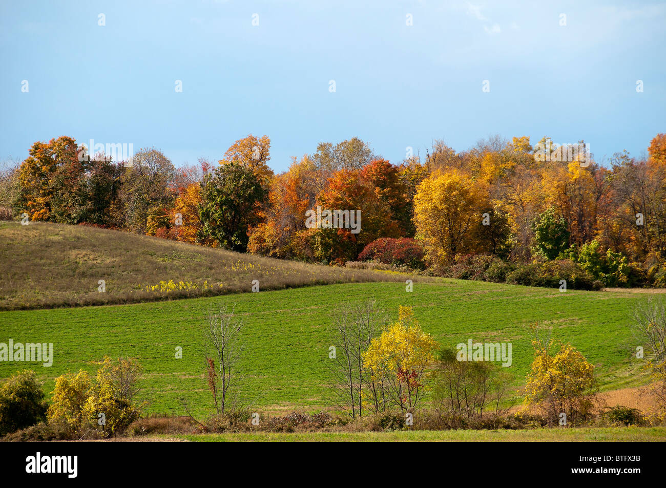 Land of fields hi-res stock photography and images - Alamy