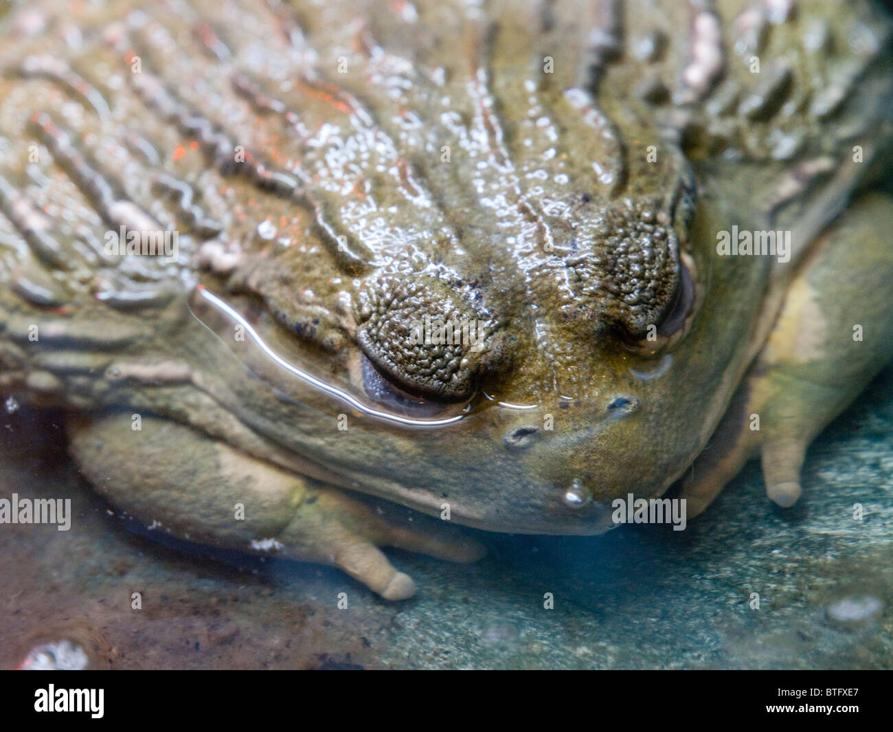 Nottingham white post farm hi-res stock photography and images - Alamy