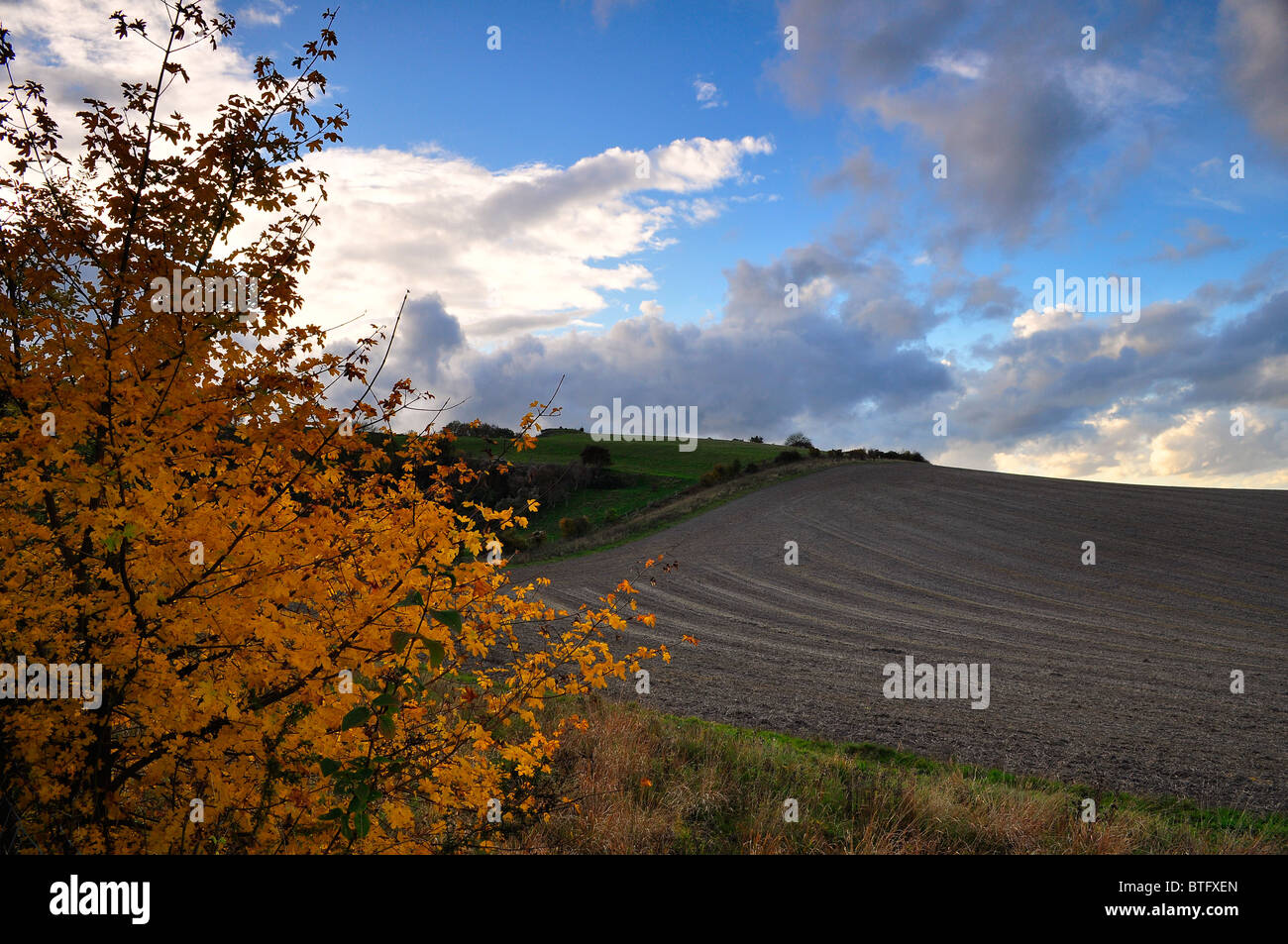British Rural Landscape from Sundon Country Park near Luton ...