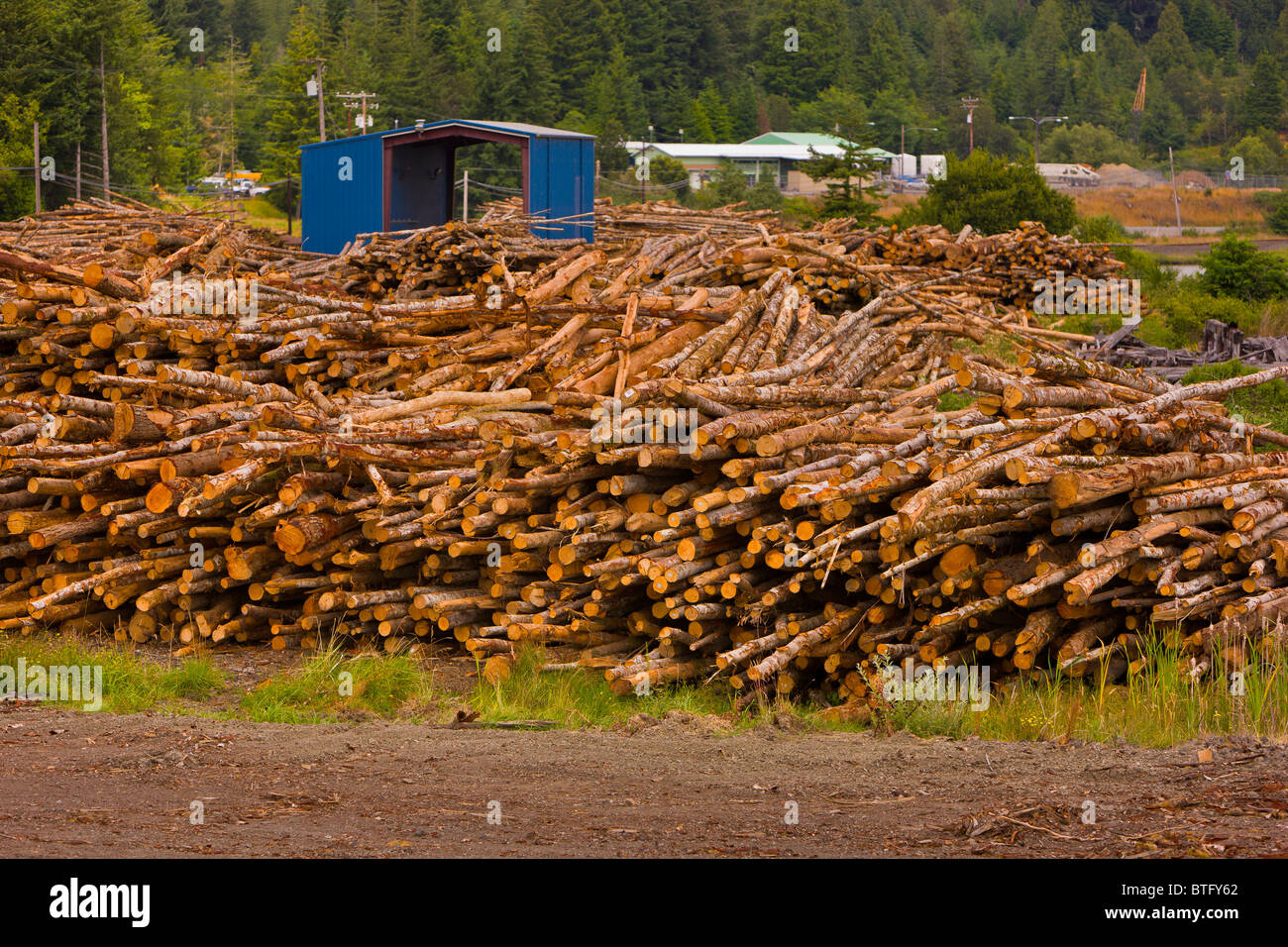 COOS BAY, OREGON, USA - Logs stacked at Weyerhaeuser lumber mill Stock ...