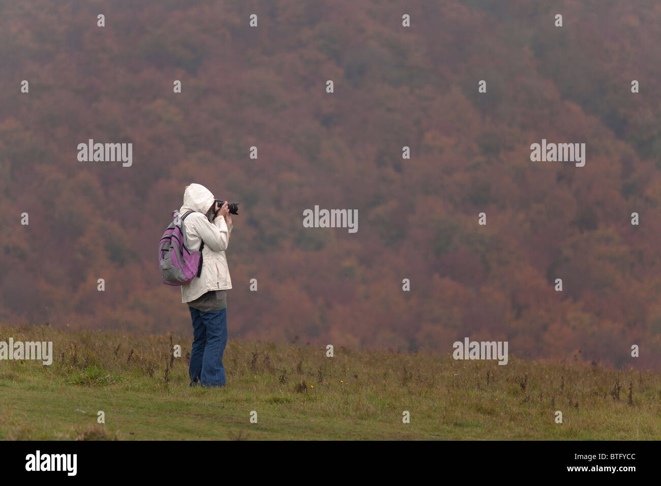 Mottled color hi-res stock photography and images - Alamy