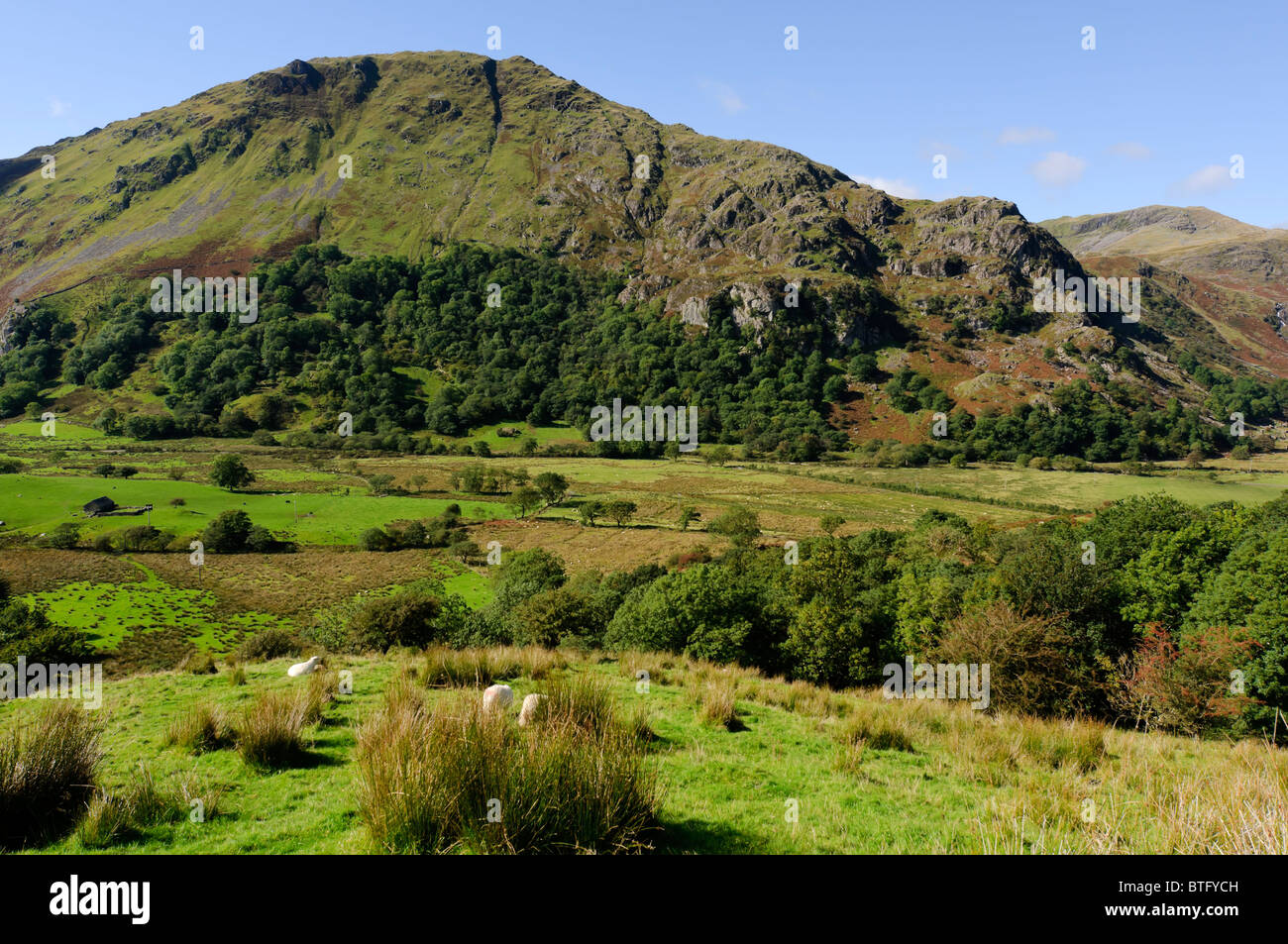 Y wenallt hi-res stock photography and images - Alamy