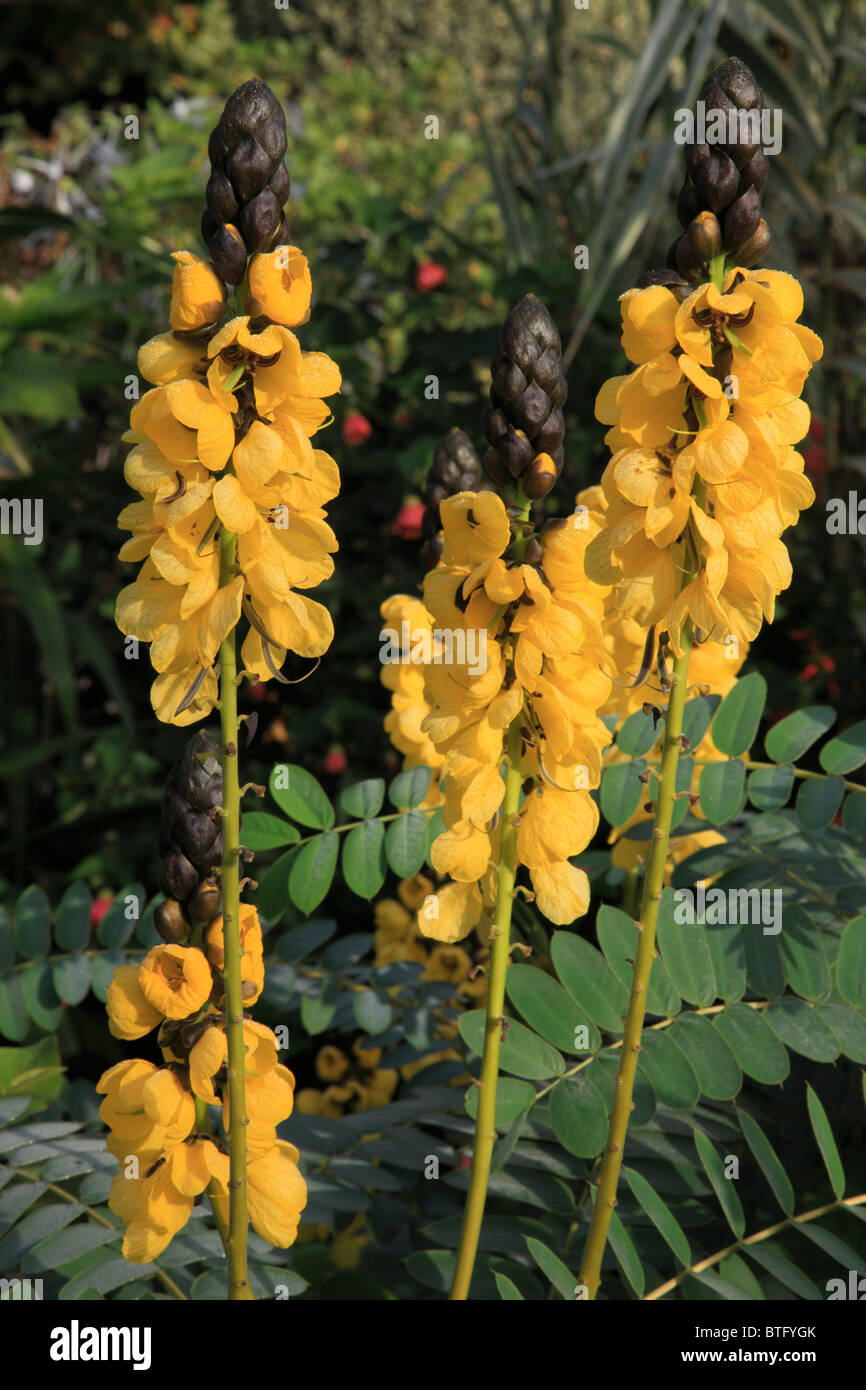 Botanical garden of paris hi-res stock photography and images - Alamy