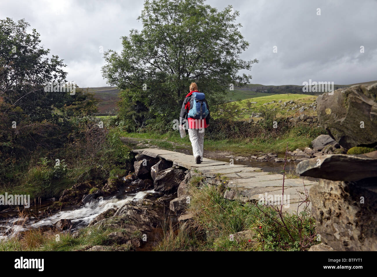 Female Walker Crossing Austwick Beck Using the Old Clapper Bridge ...