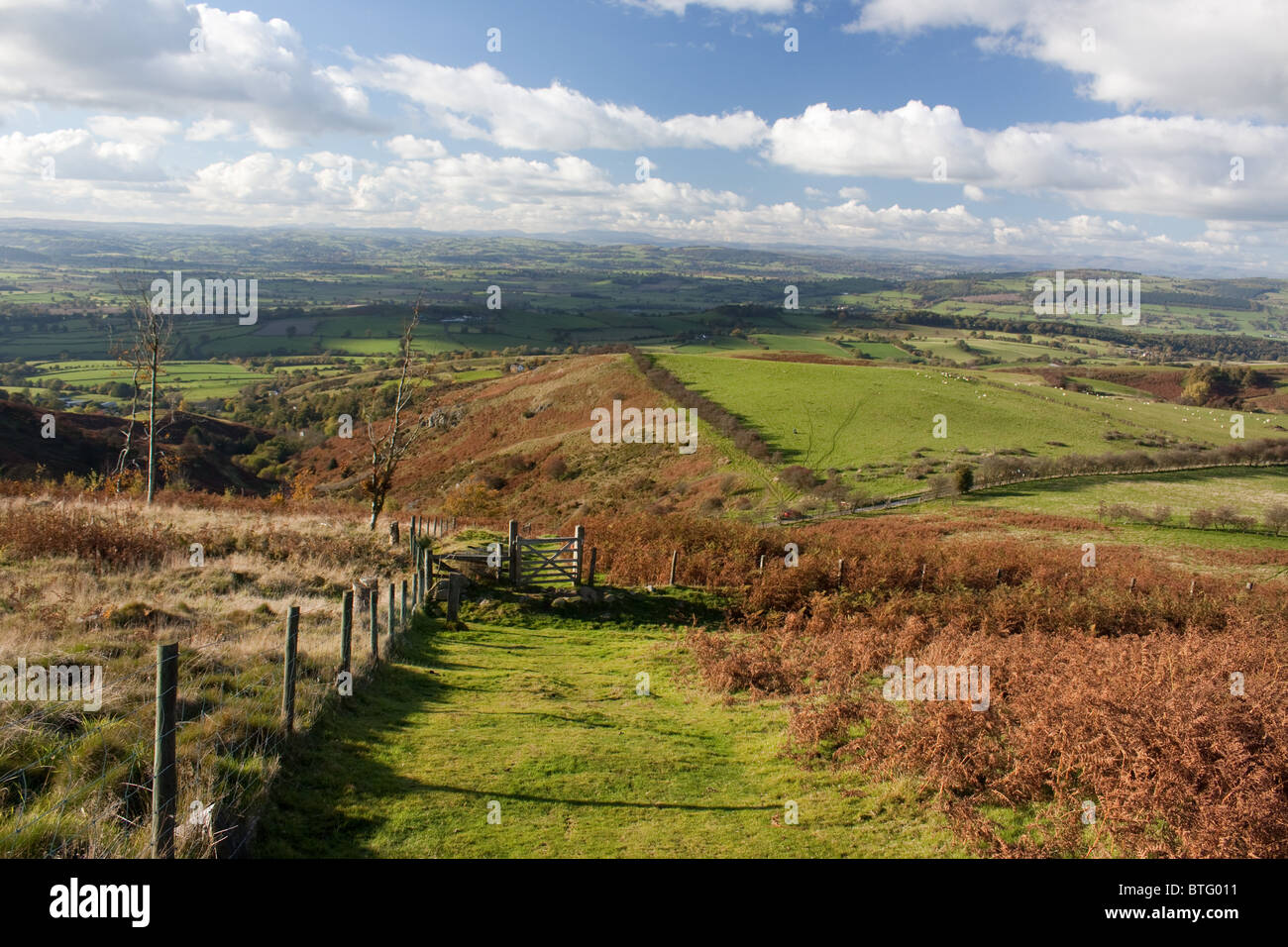 Corndon Hill near Bishop's Castle, Shropshire, in the Shropshire Hills ...