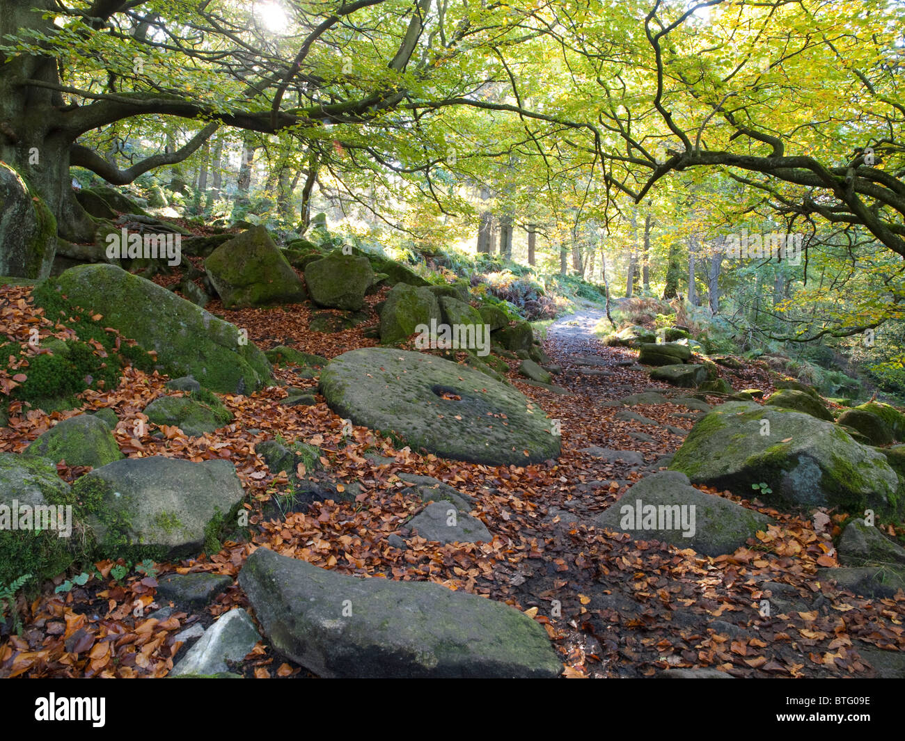 Padley Gorge in Autumn, Peak District Derbyshire England UK Stock Photo ...