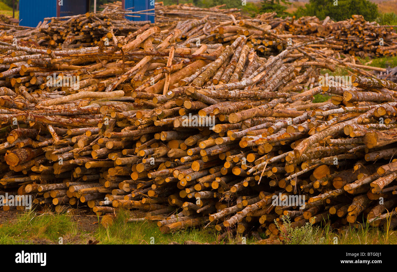 COOS BAY, OREGON, USA - Logs stacked at Weyerhaeuser lumber mill Stock ...