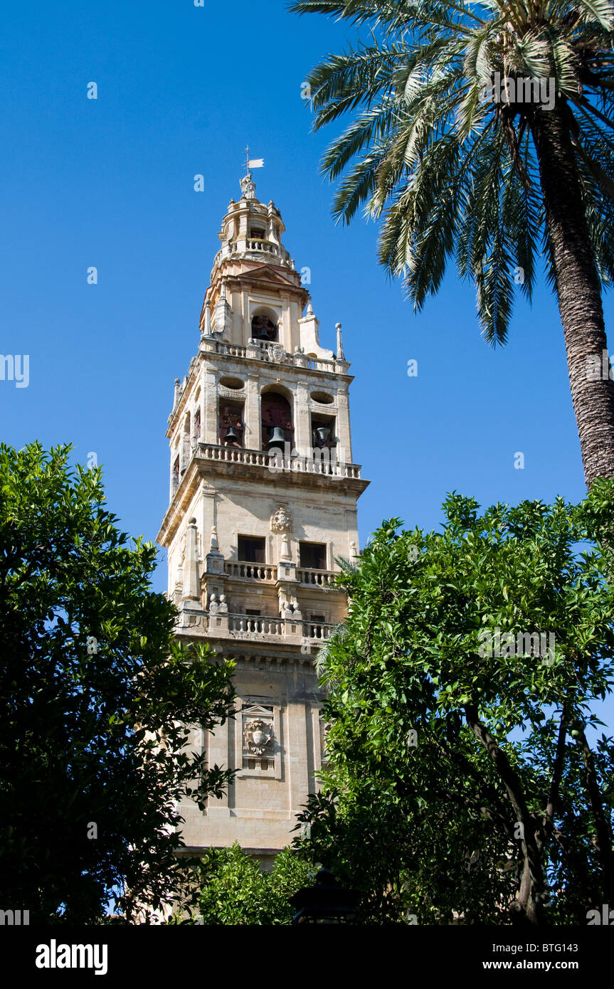 Mezquita Moorish Mosque Cathedral Catholic Cordoba Spain Spanish Stock ...