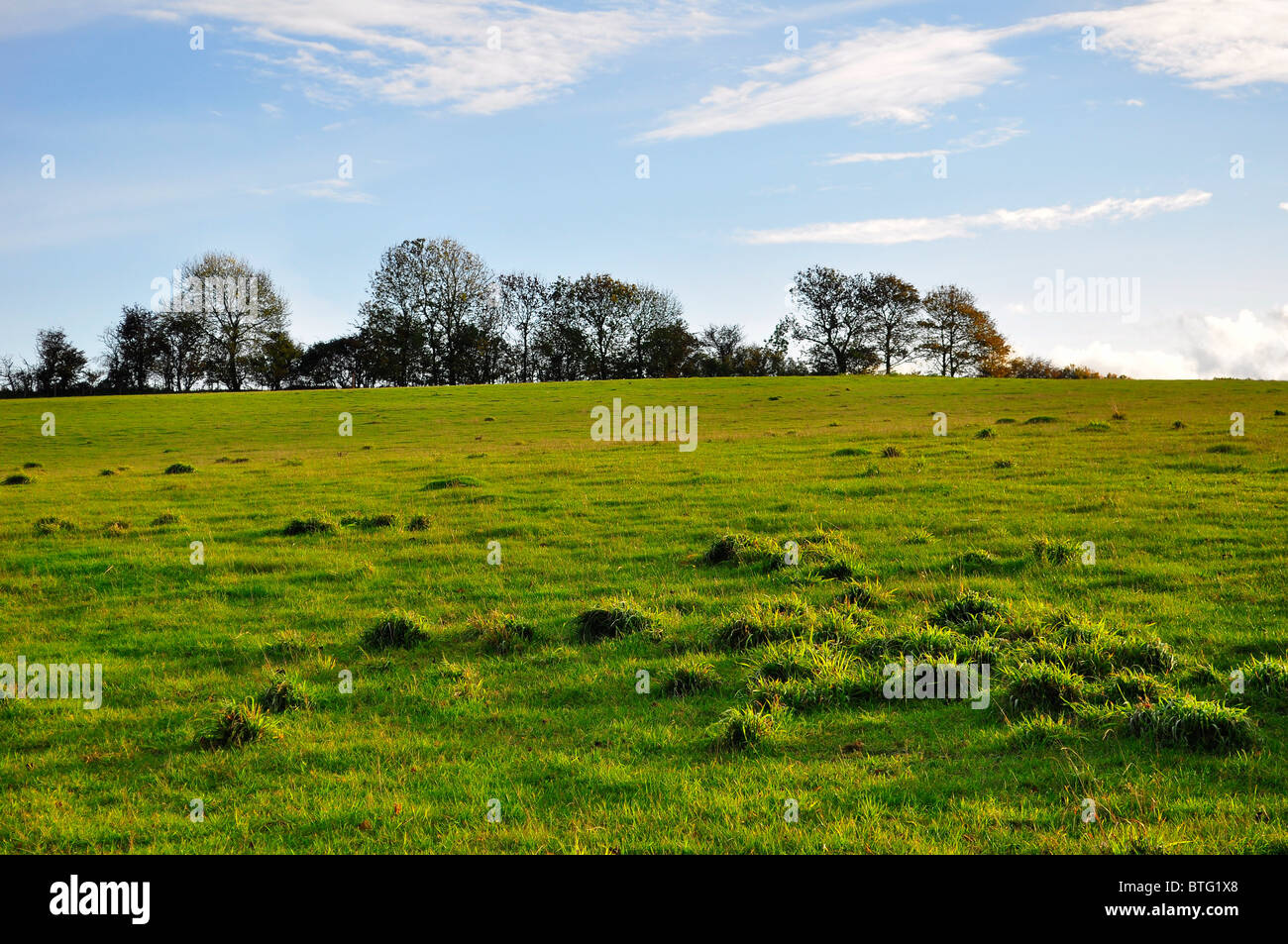 British Autumn Landscape in Sundon Country Park near Luton ...