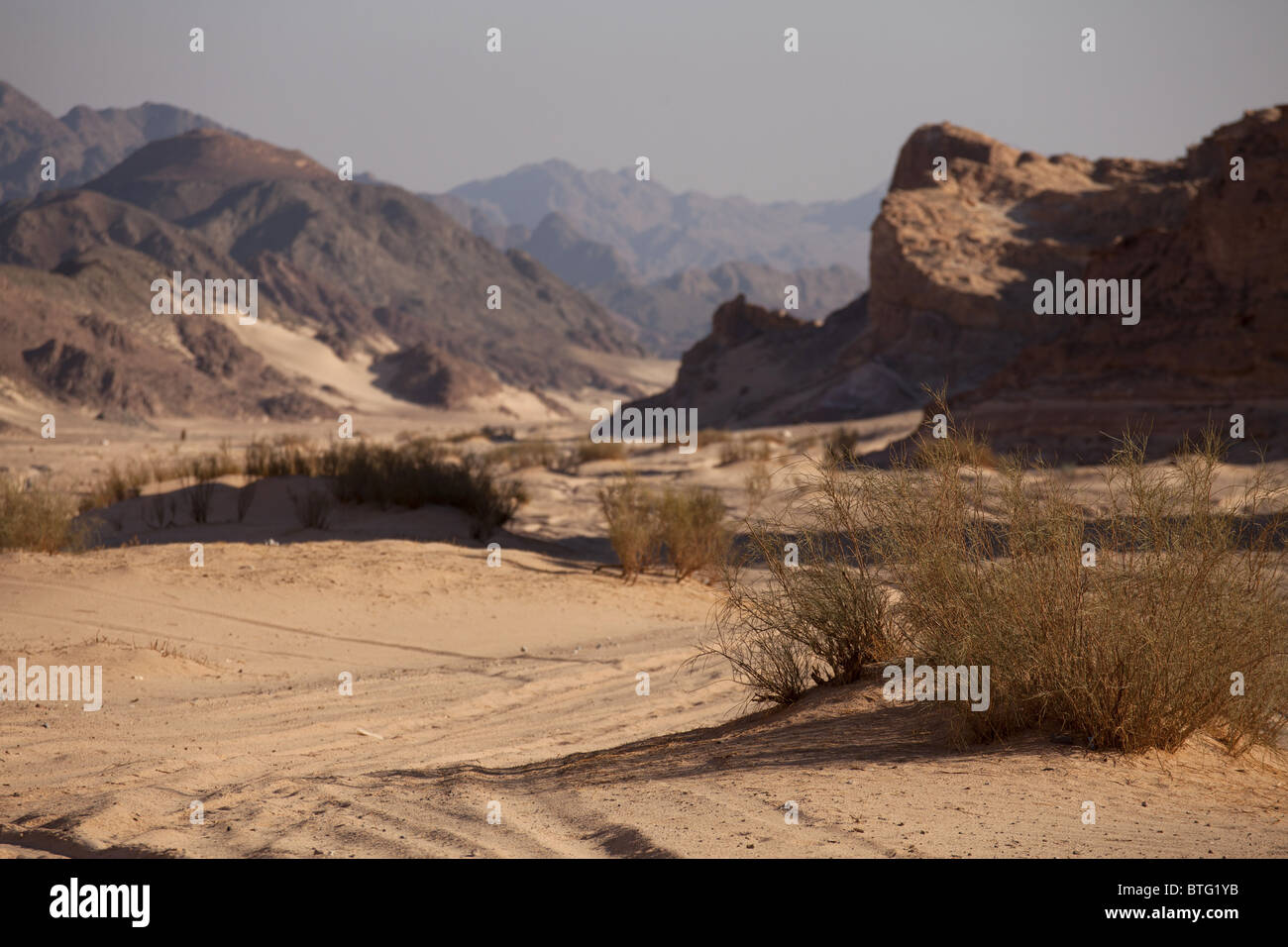 Sinai desert egypt hi-res stock photography and images - Alamy