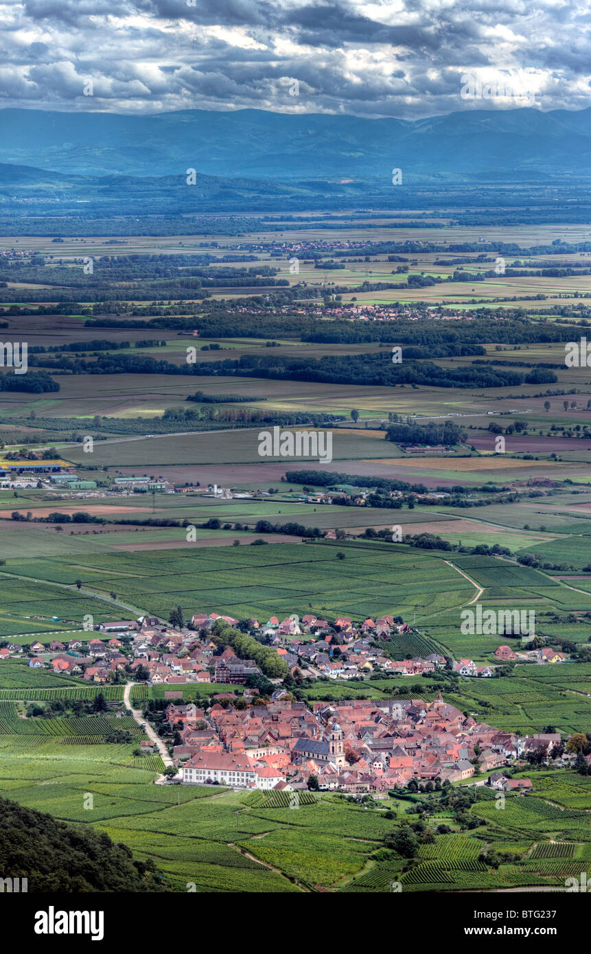 Alsatian plain hi-res stock photography and images - Alamy