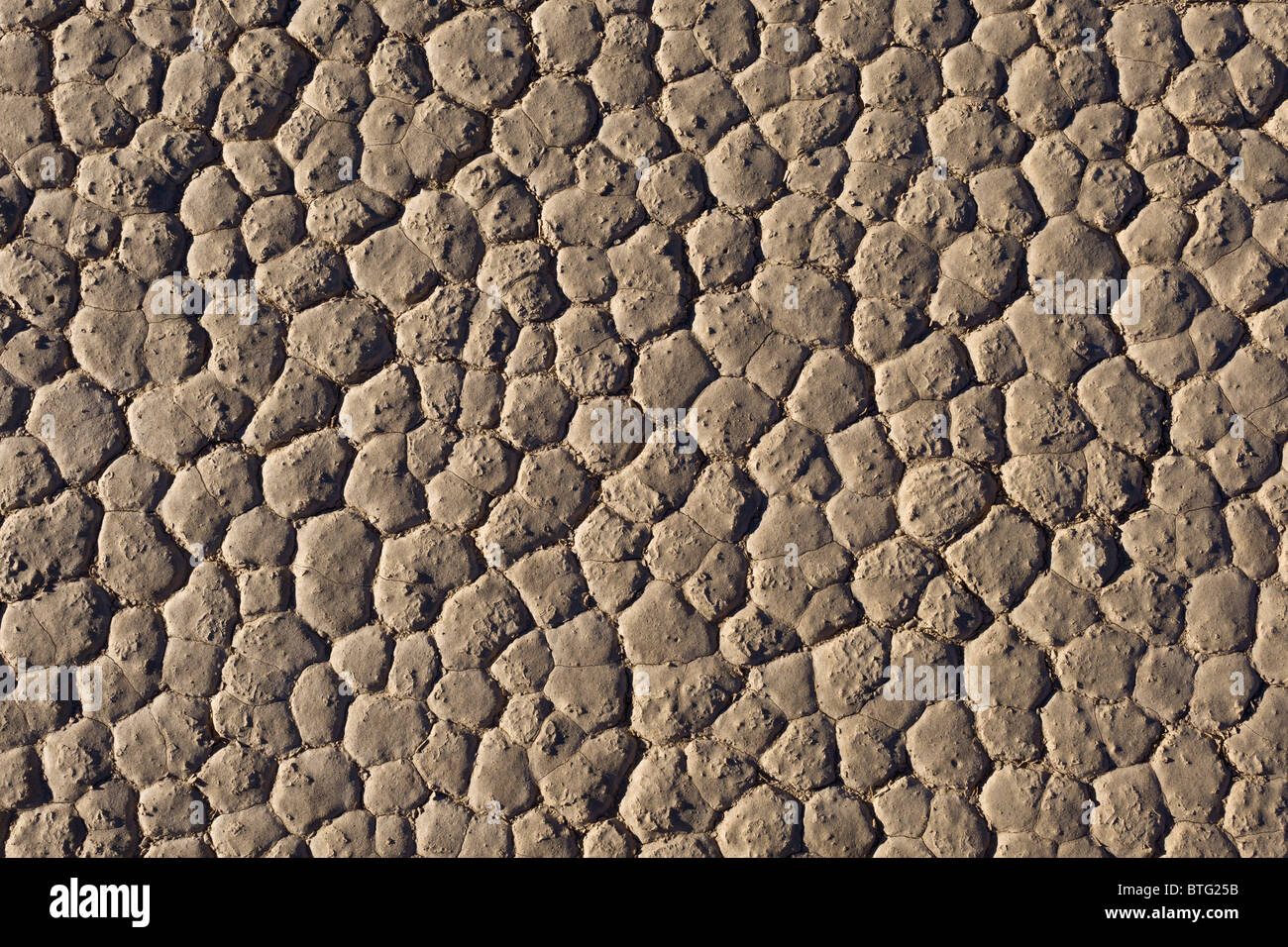 Hexagonal pattern formed in mud cracks at the dry lake bed of The ...