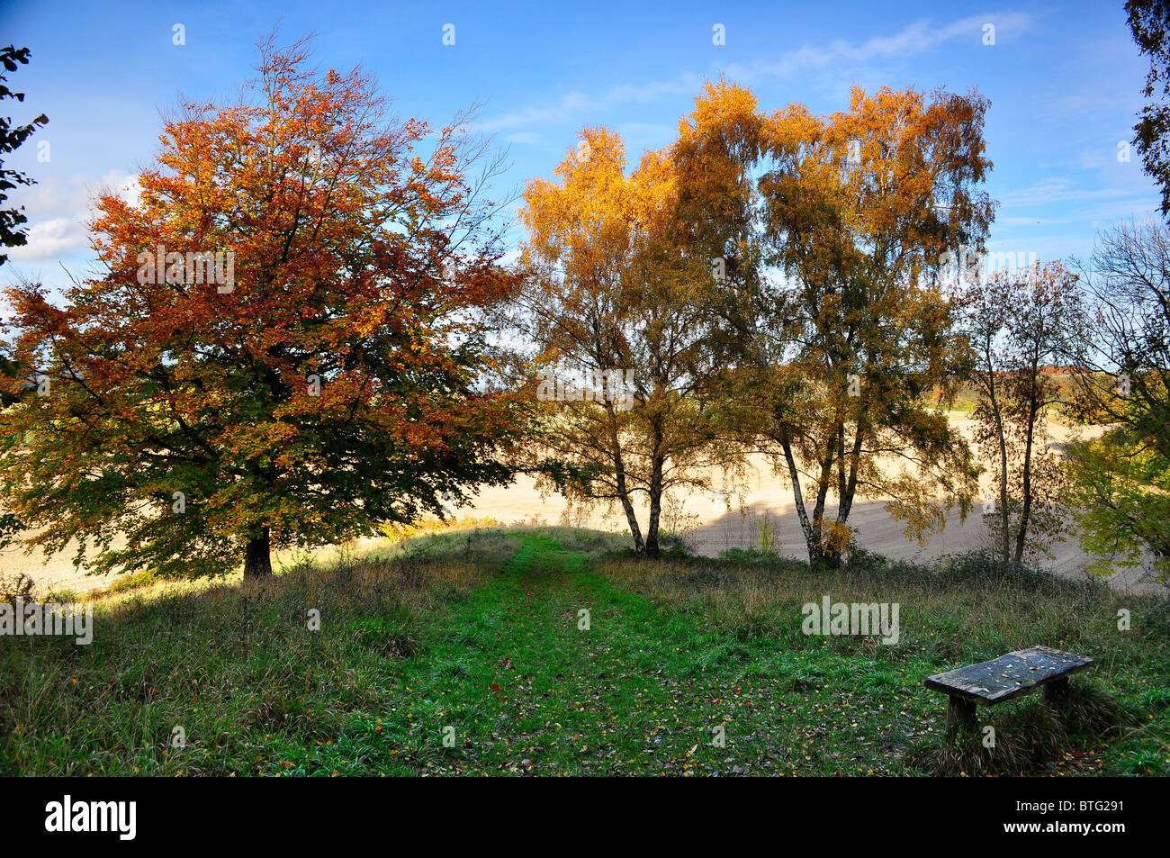 British Autumn Landscape in Sundon Country Park near Luton ...