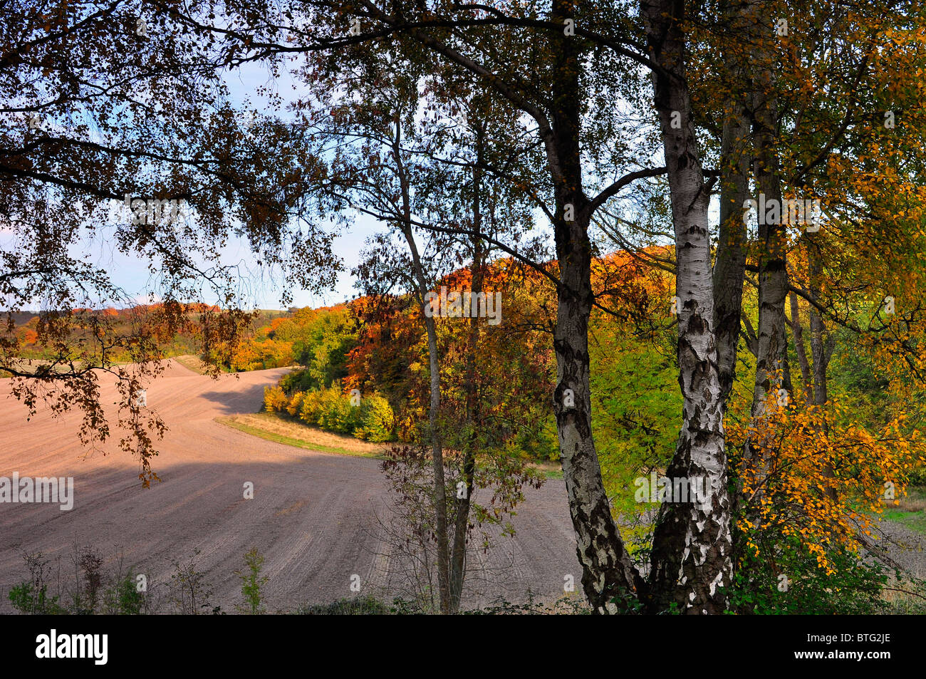 Woodlands at Sundon Country Park near Luton, Bedfordshire Stock Photo ...
