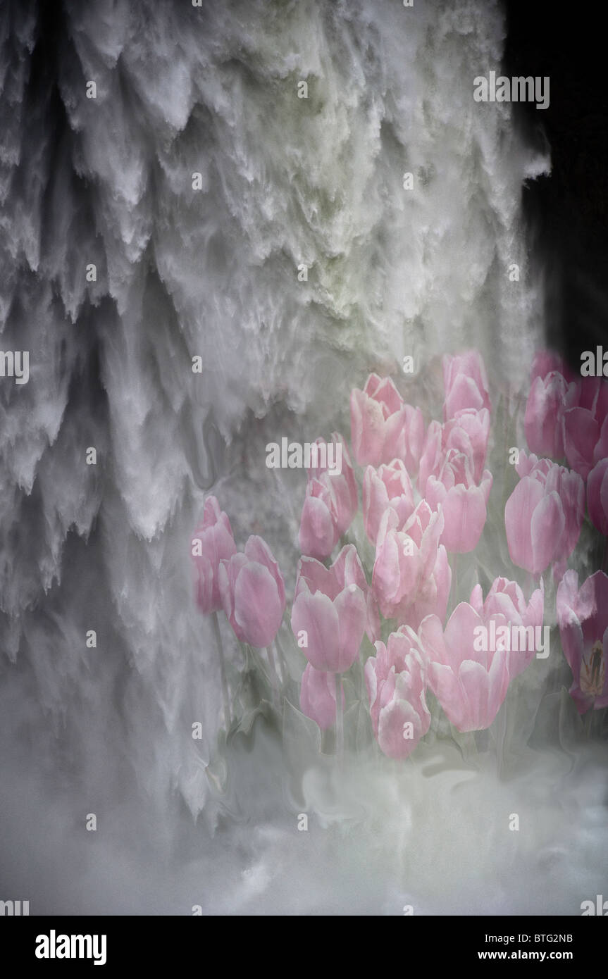 This vertical abstract natural photo is a large rushing waterfall with ...