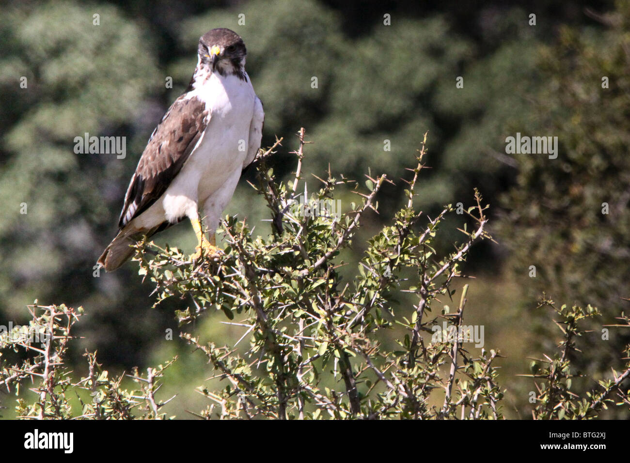 Ken park hi-res stock photography and images - Alamy