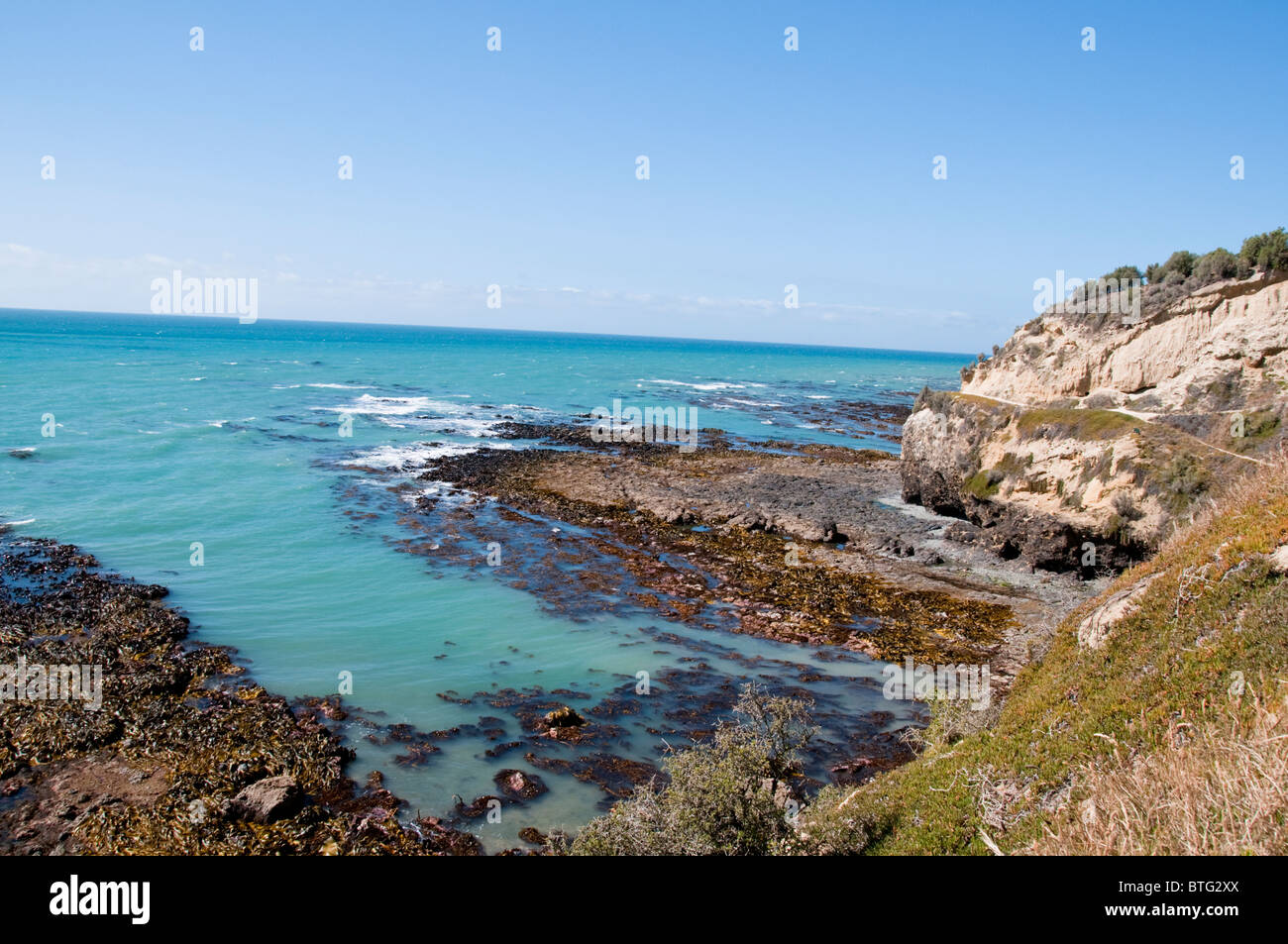 Oamaru, Bushy Beach Scenic Reserve,Cape Wanbrow,Victorian Architecture ...