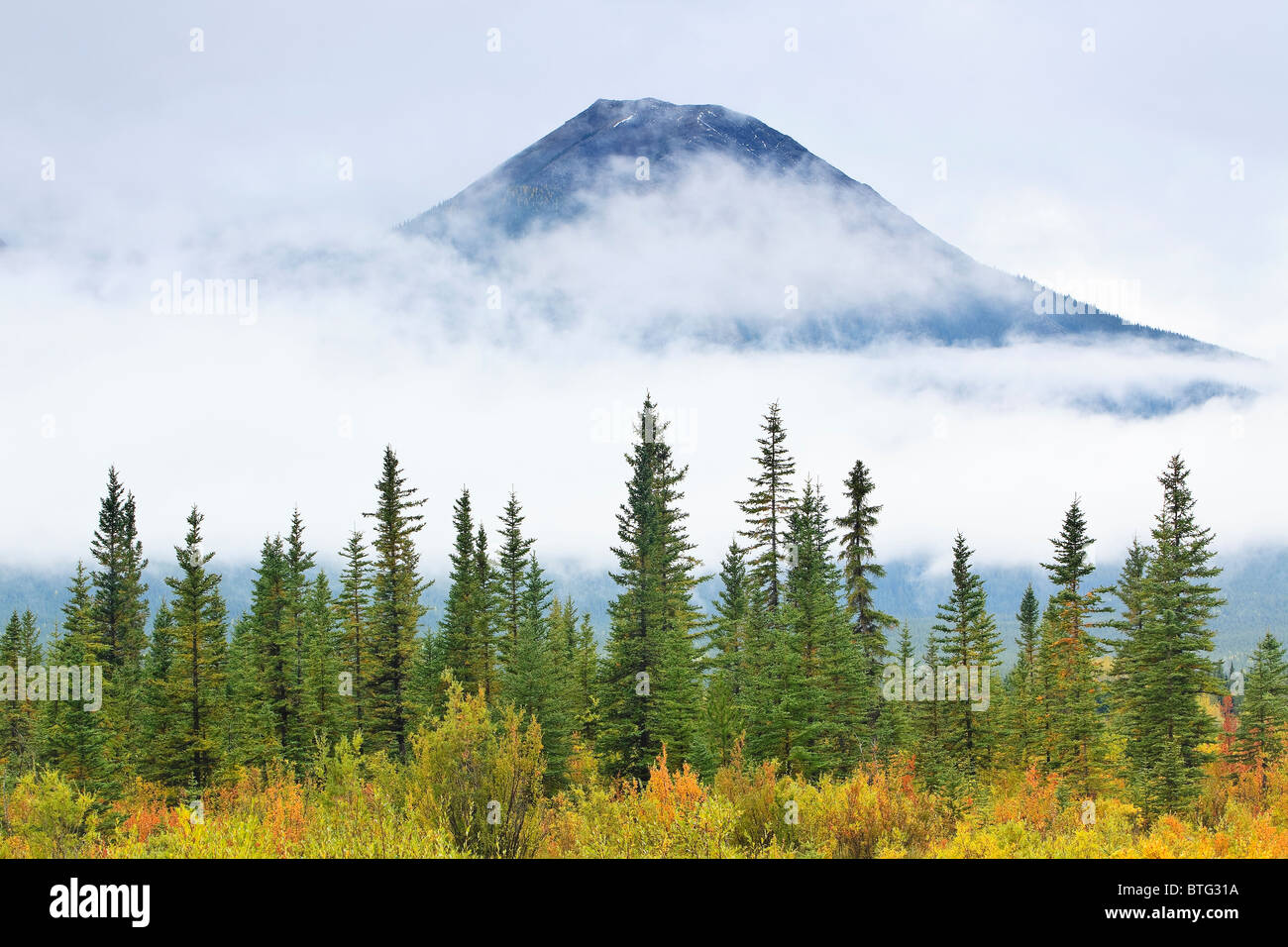 Fall colors of the Cascade Range shrouded in cloud, Vermillion Lakes ...
