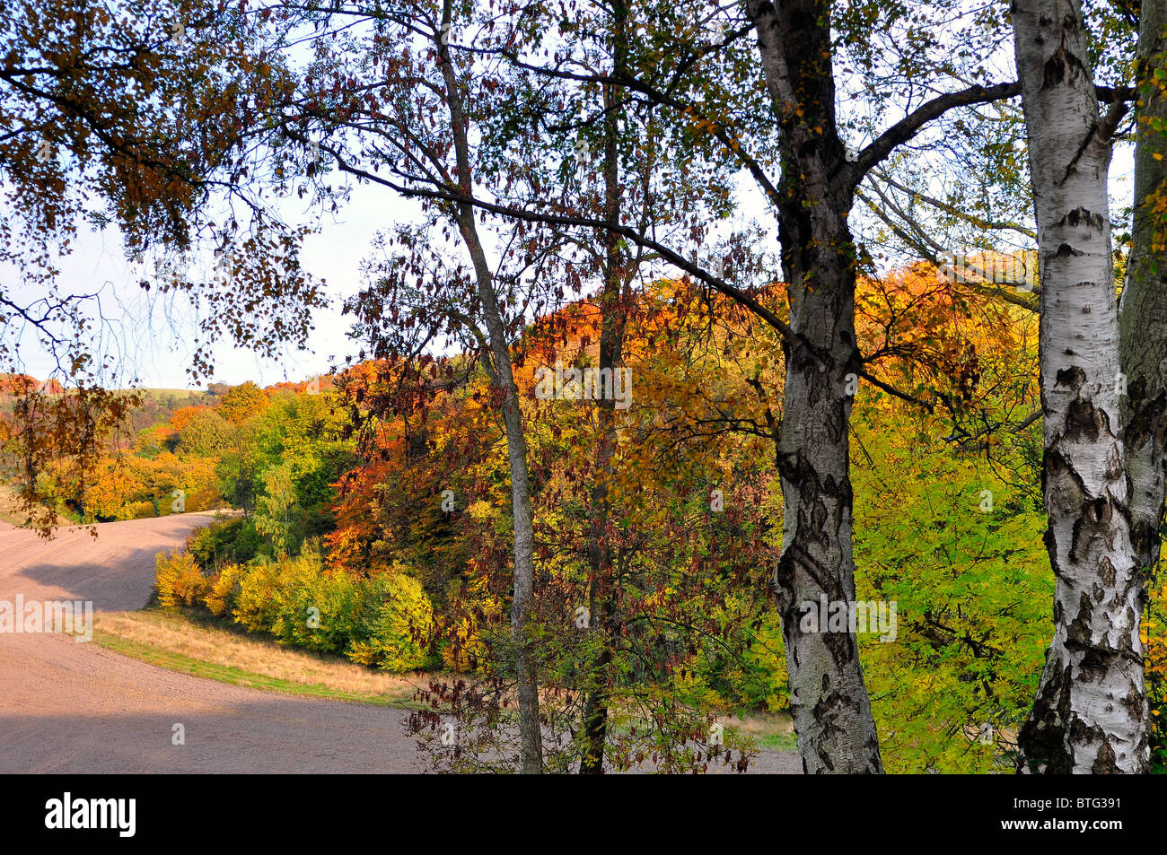 Woodlands at Sundon Country Park near Luton, Bedfordshire Stock Photo ...