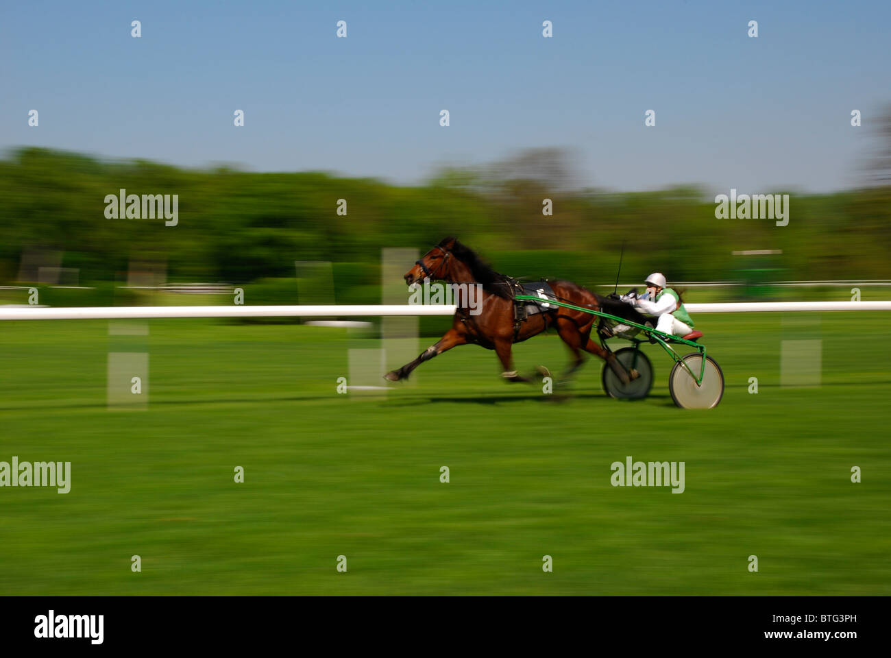 Racing awards winners hi-res stock photography and images - Alamy