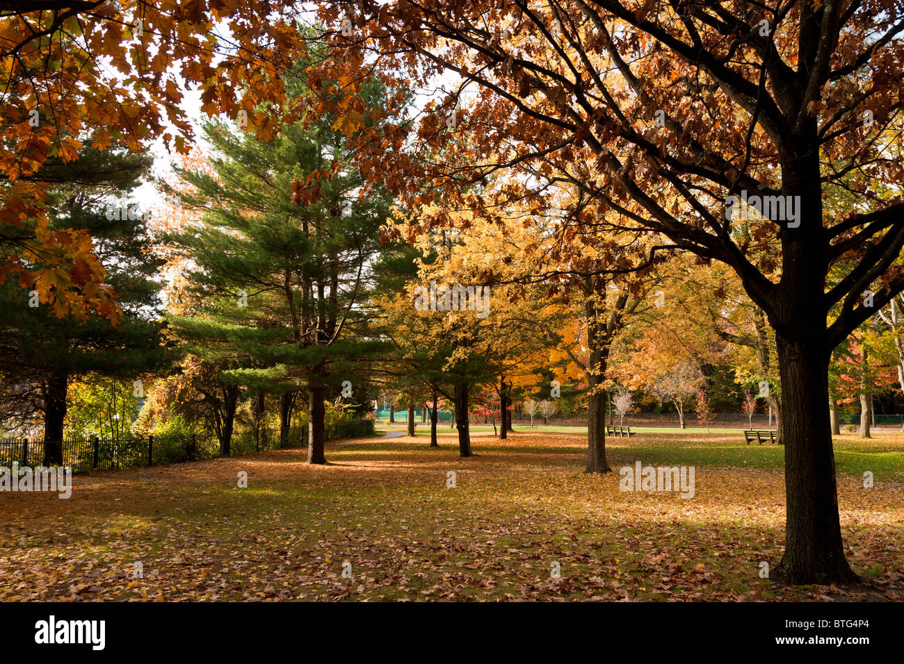 Park in Fall Stock Photo - Alamy