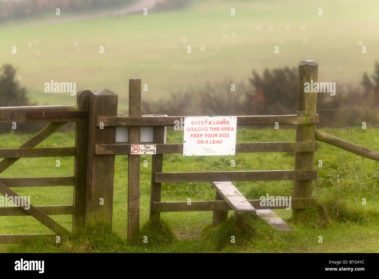 Sheep grazing sign hi-res stock photography and images - Alamy