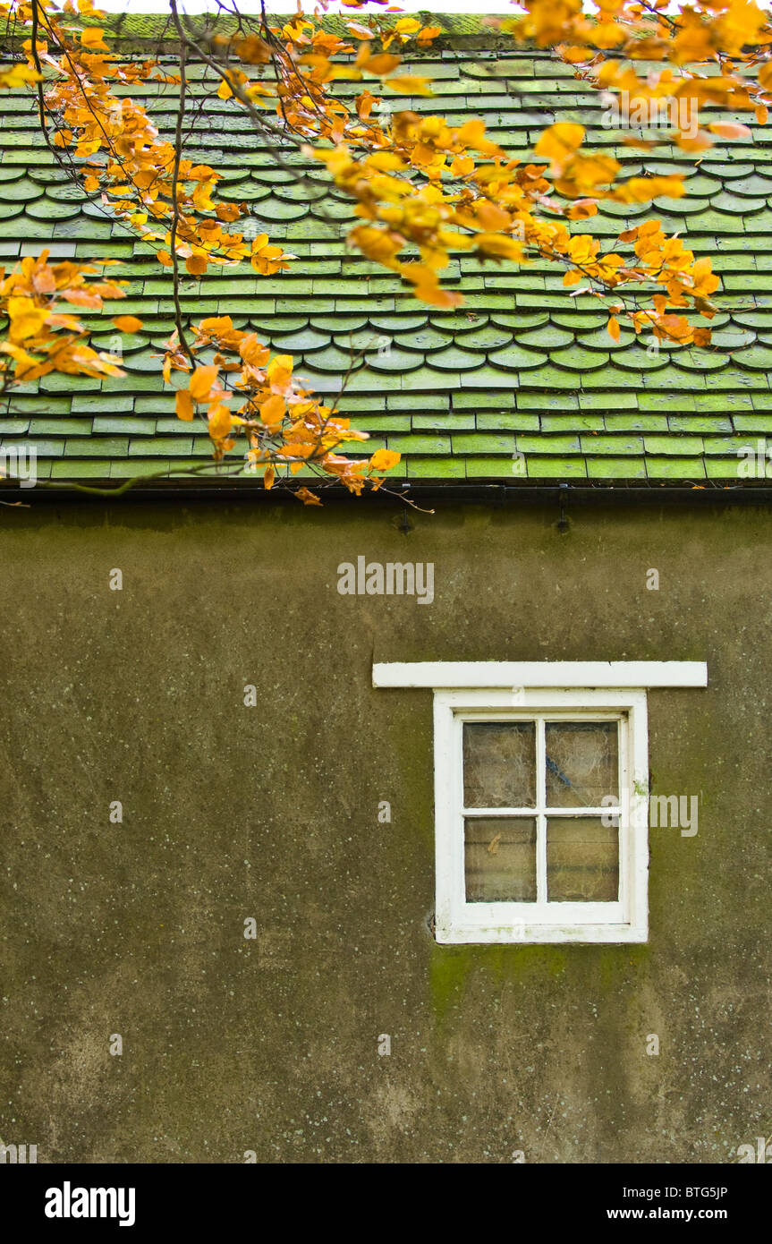 Barn with a white wooden window frame, rendered external wall and tiled ...